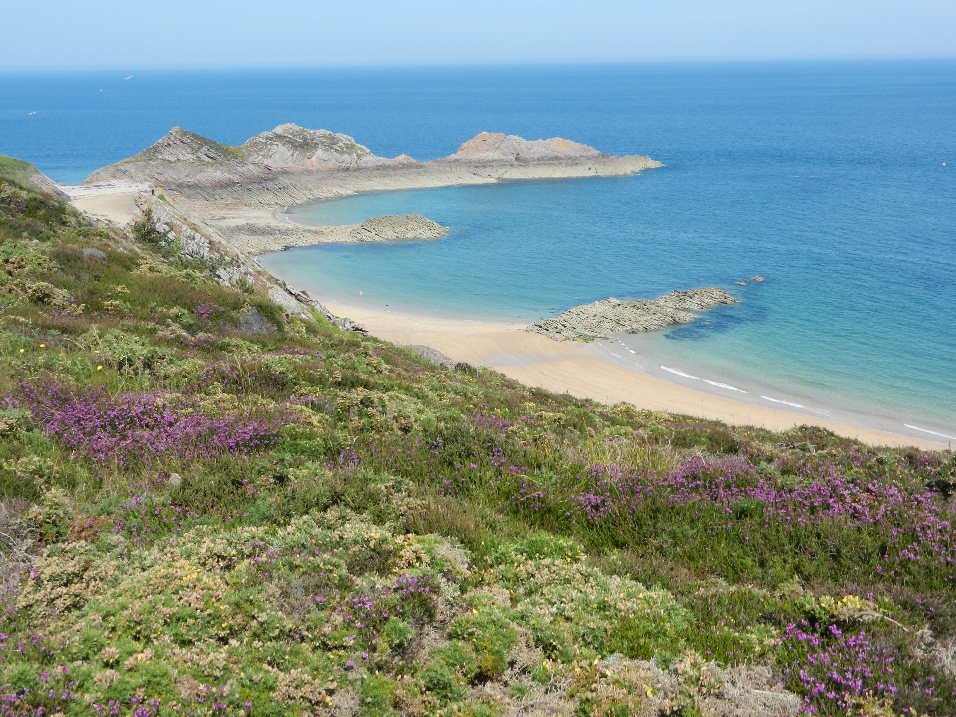 Cap d'Erquy - Dinan-Cap Fréhel Tourism | Dinan-Cap Fréhel Tourism