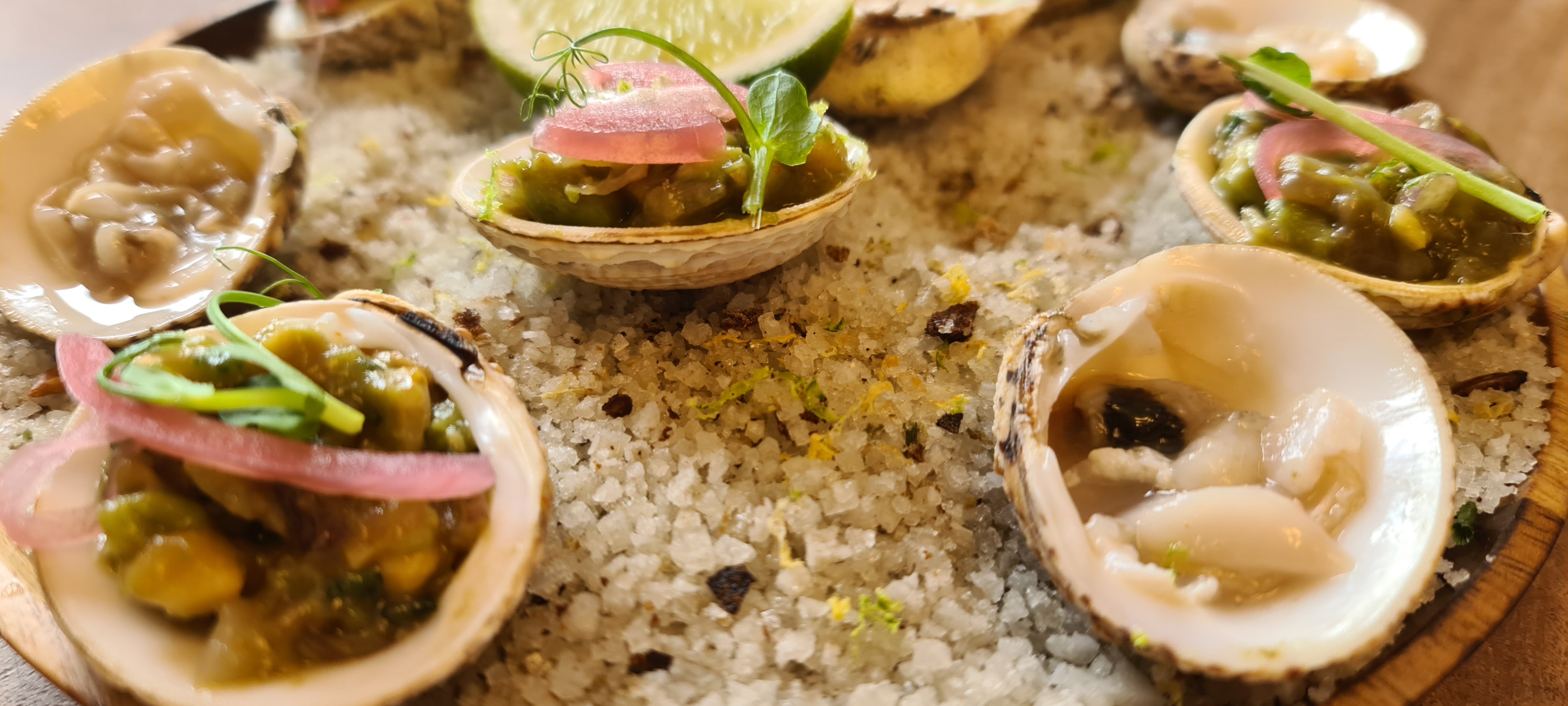 Bevan - Pléneuf Val-André