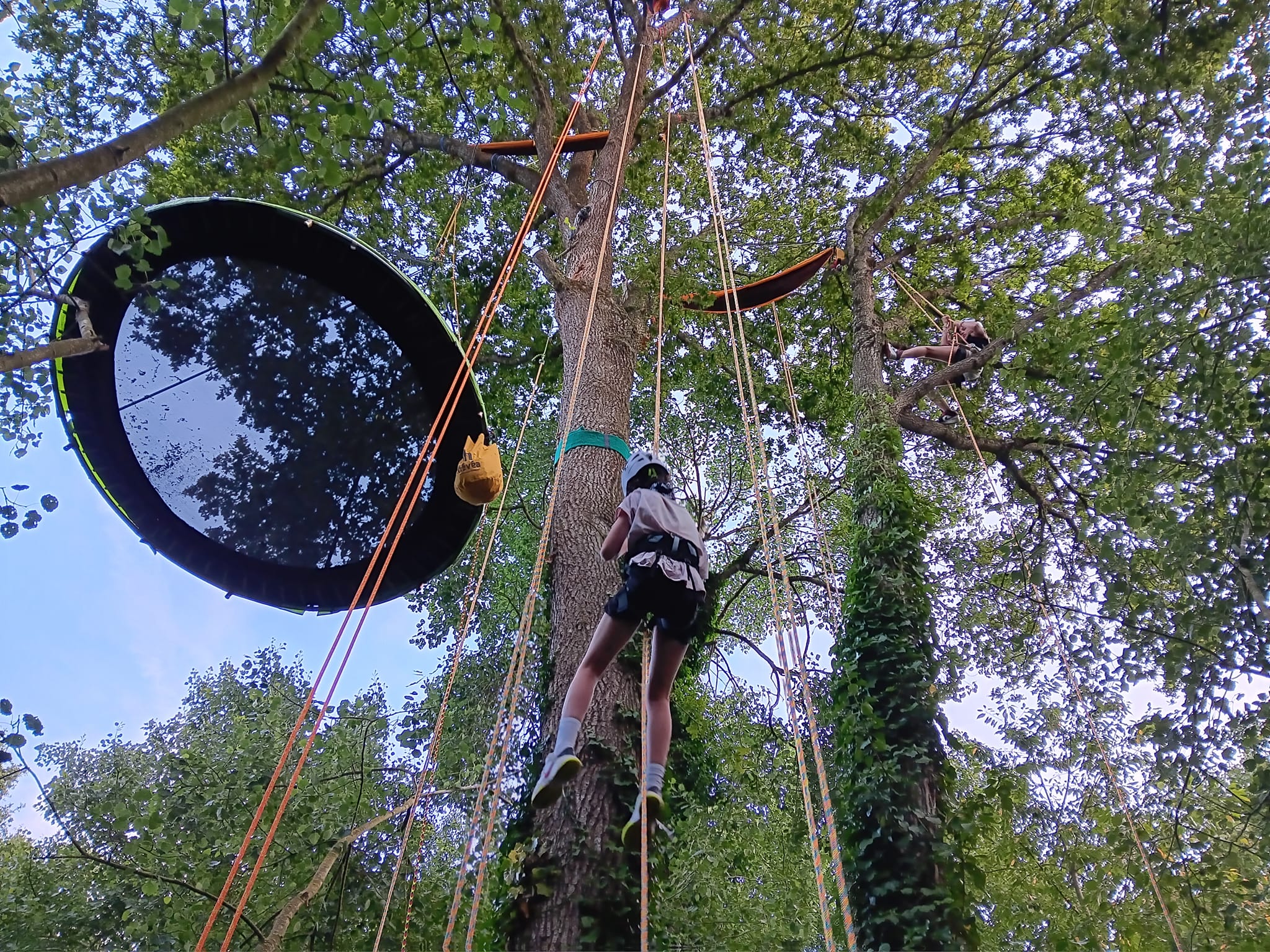 Grimpe d’arbre avec Fleur de Jour - Dinan-Cap Fréhel Tourisme | Dinan ...