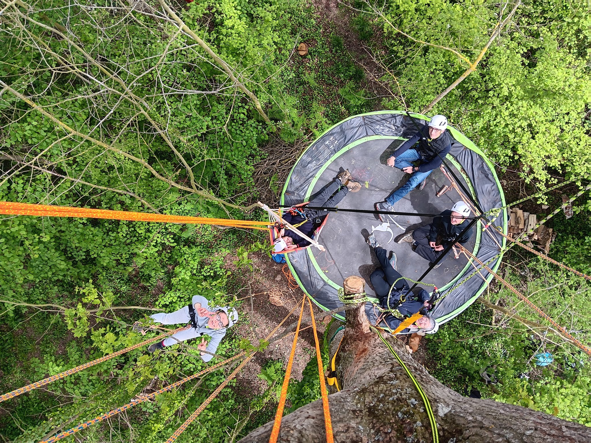 Grimpe d’arbre avec Fleur de Jour - Dinan-Cap Fréhel Tourisme | Dinan ...