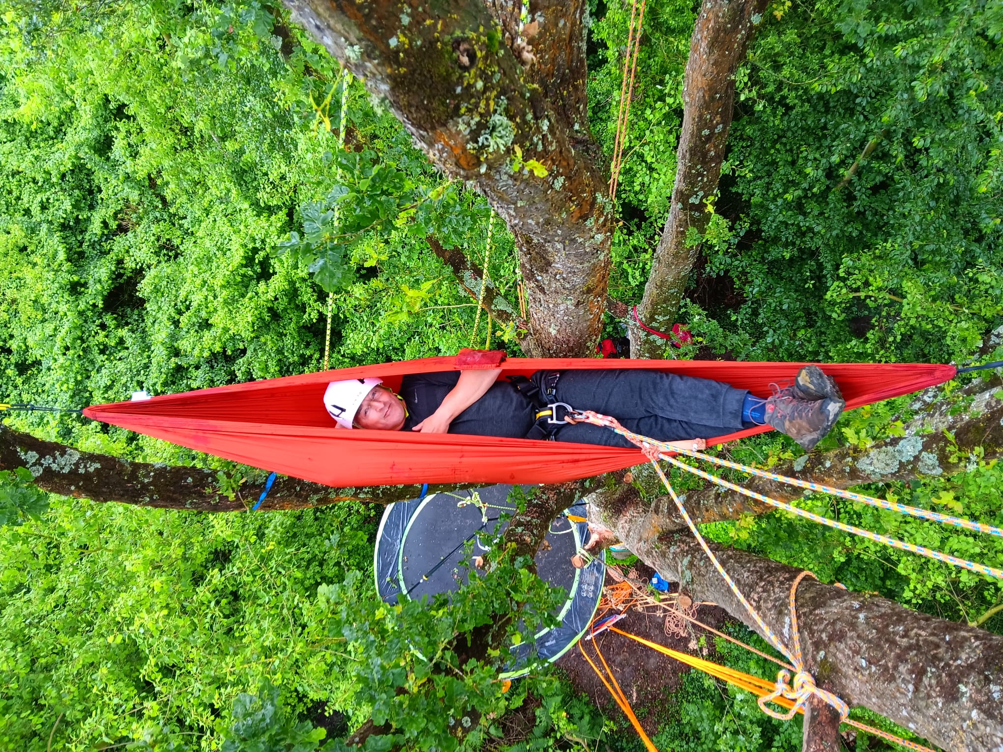 Grimpe d’arbre avec Fleur de Jour - Dinan-Cap Fréhel Tourisme | Dinan ...